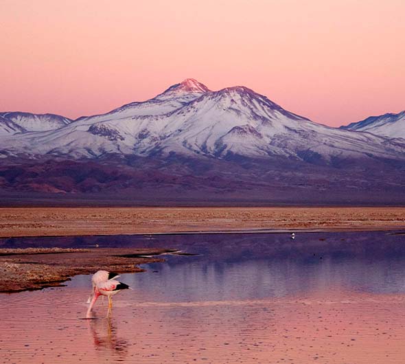 Piedras Rojas Lagoon - Tierra Atacama